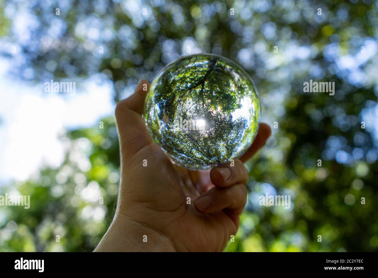 image of a forest in a ball Stock Photo - Alamy