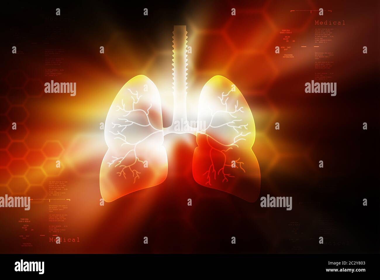 Human lungs in color bacbground Stock Photo - Alamy