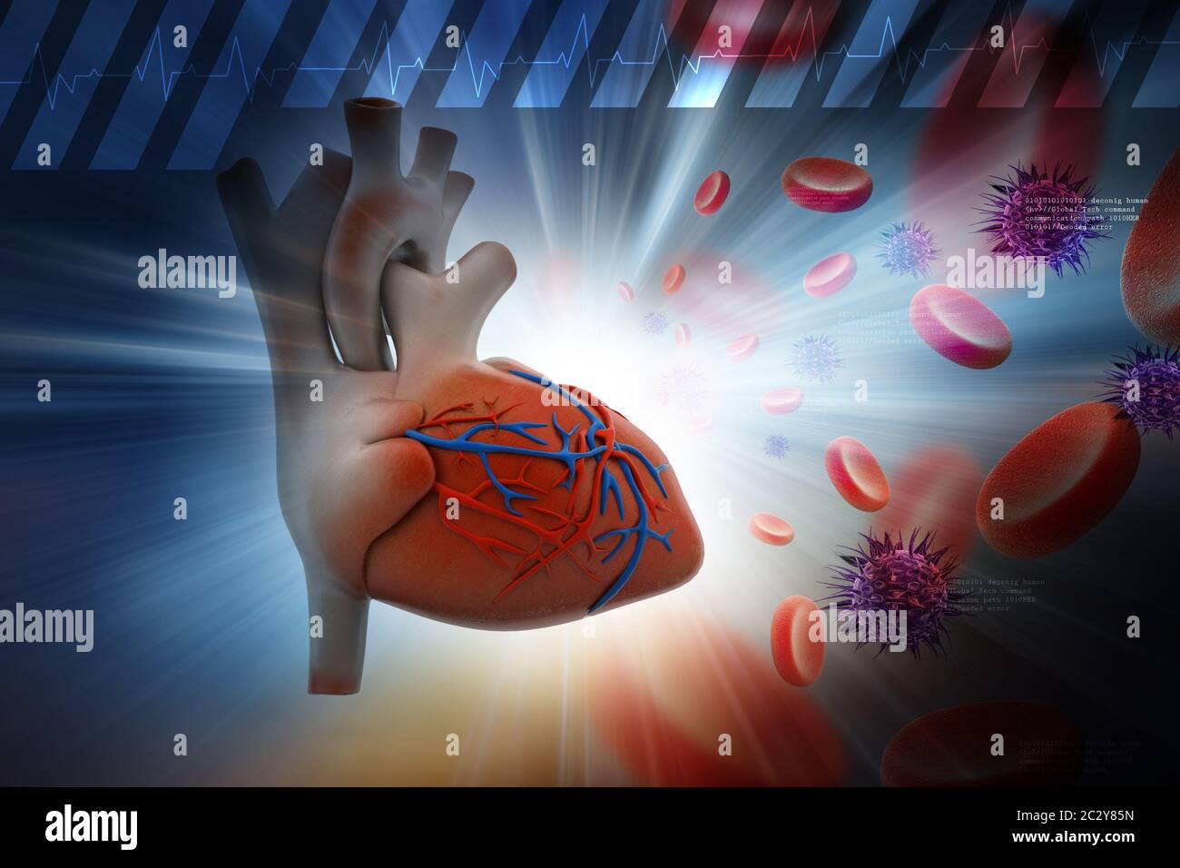 Human heart with platelets and virus in color background Stock Photo ...