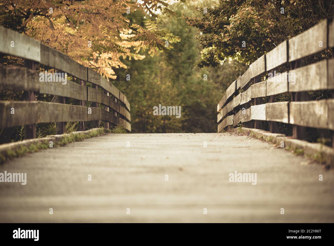 A secluded bridge surrounded by greenery, trees. Late autumn afternoon ...