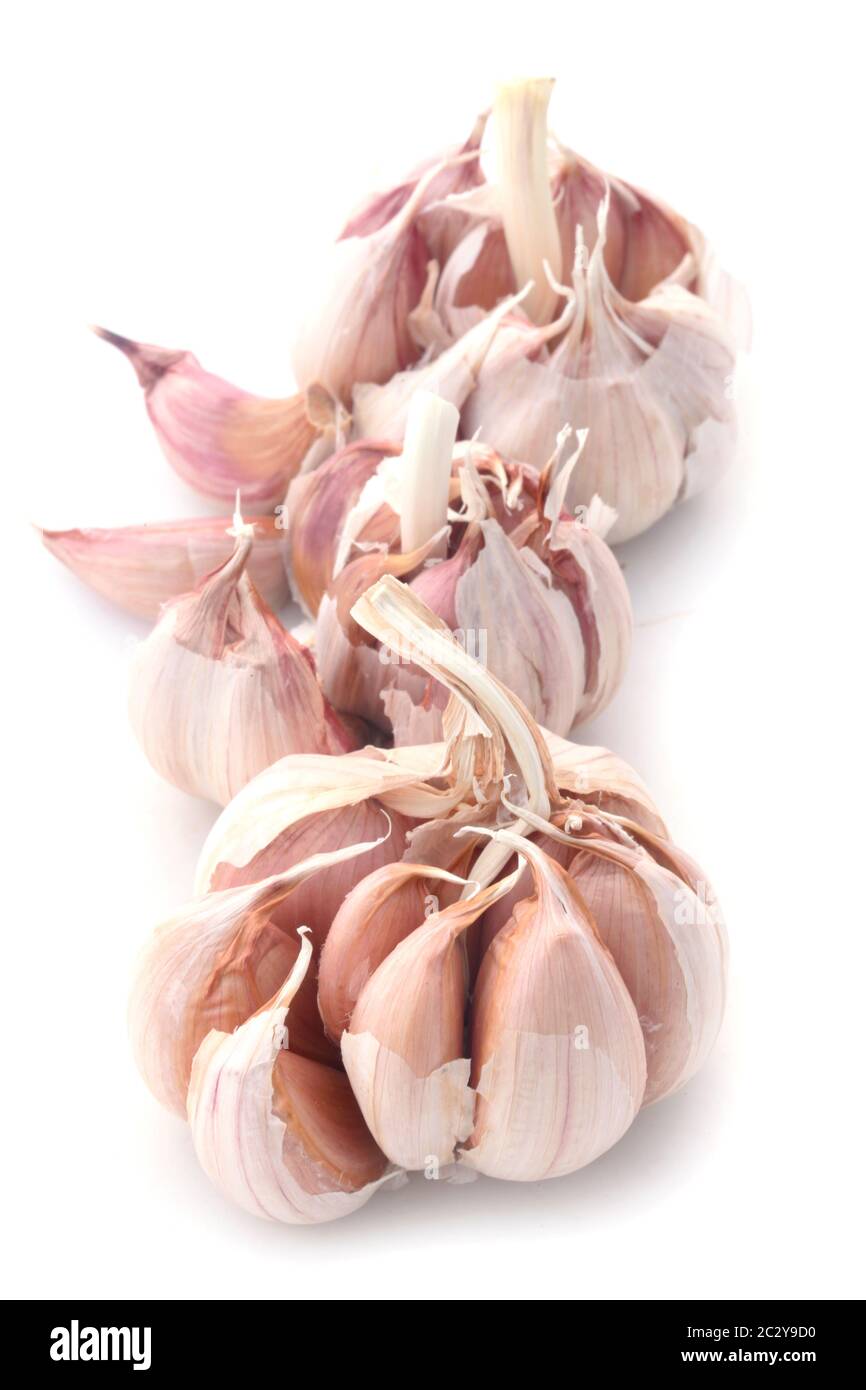 Whole bulb hi-res stock photography and images - Alamy