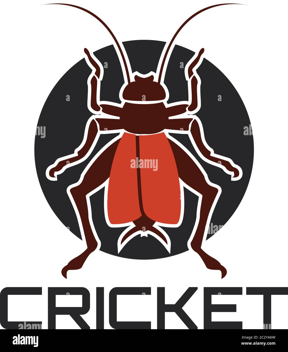 Cricket insect jump Stock Vector Images - Alamy