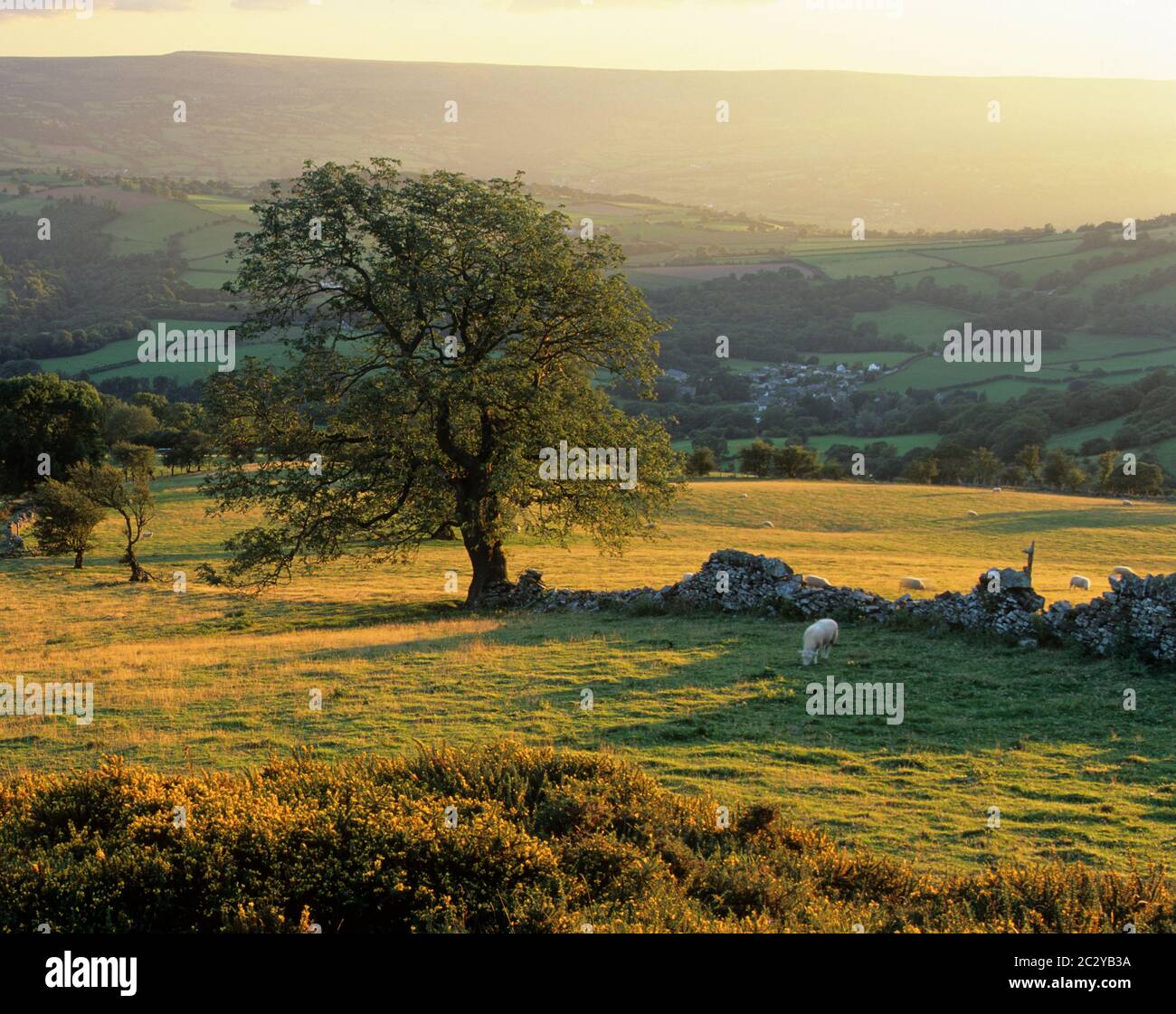 Llanbedr hi-res stock photography and images - Alamy