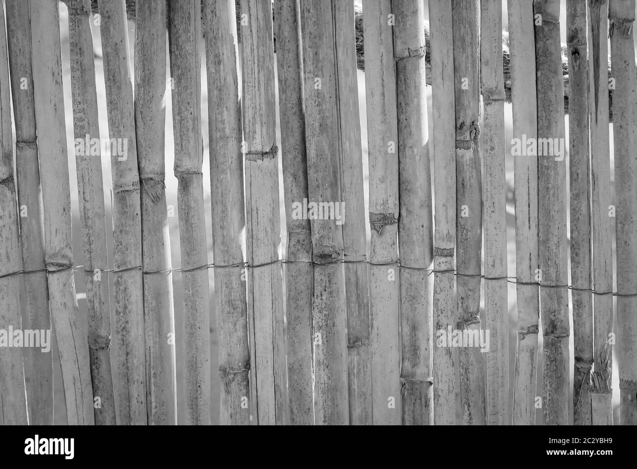 Detail of a privacy screen made of pipe, straw or bamboo, texture Stock ...
