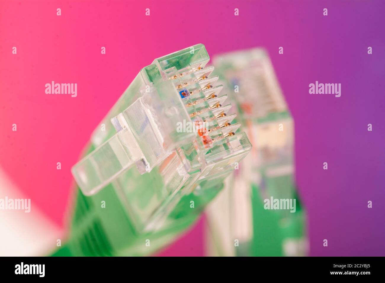 connection - a lan cable in closeup Stock Photo - Alamy