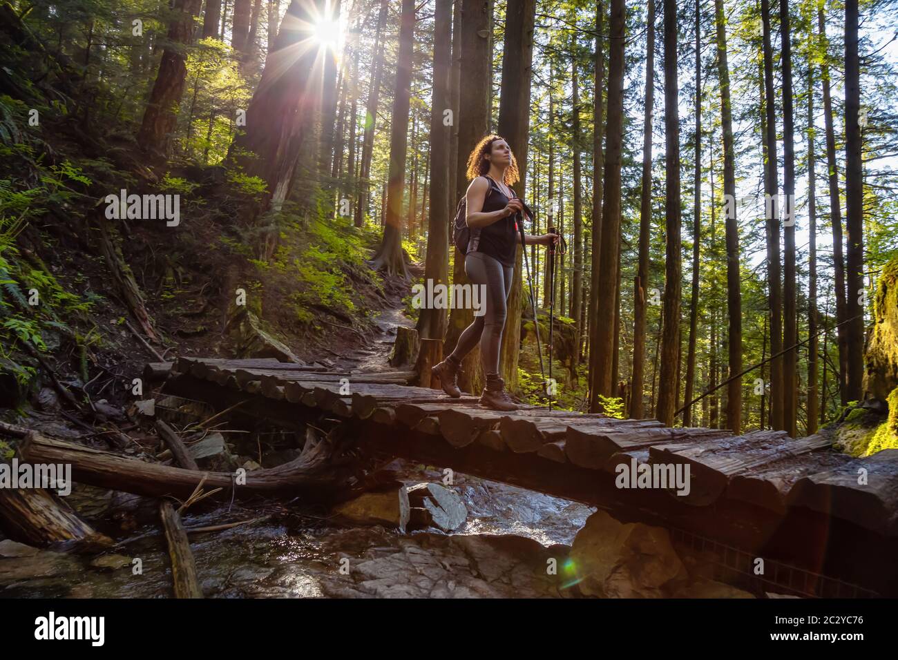 Adventurous Girl Hiking in a Green and Vibrant Rain Forest Stock Photo ...
