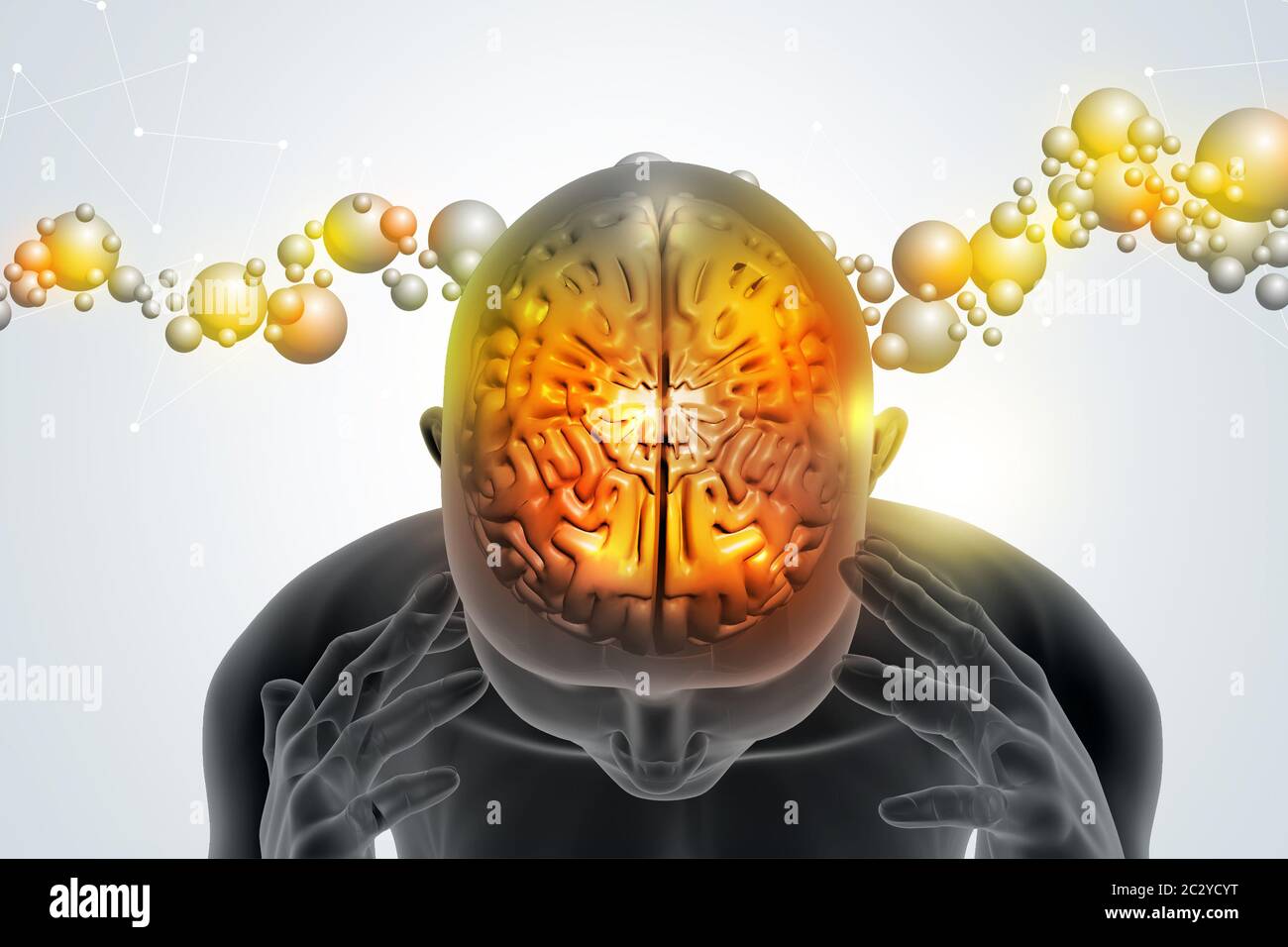 Man head showing the human brain Stock Photo - Alamy