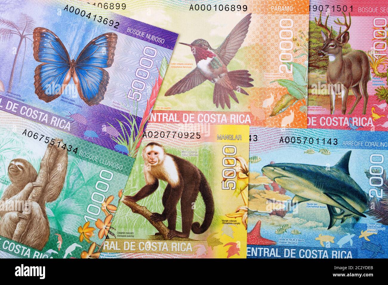 Costa Rican money - Colon a background Stock Photo - Alamy
