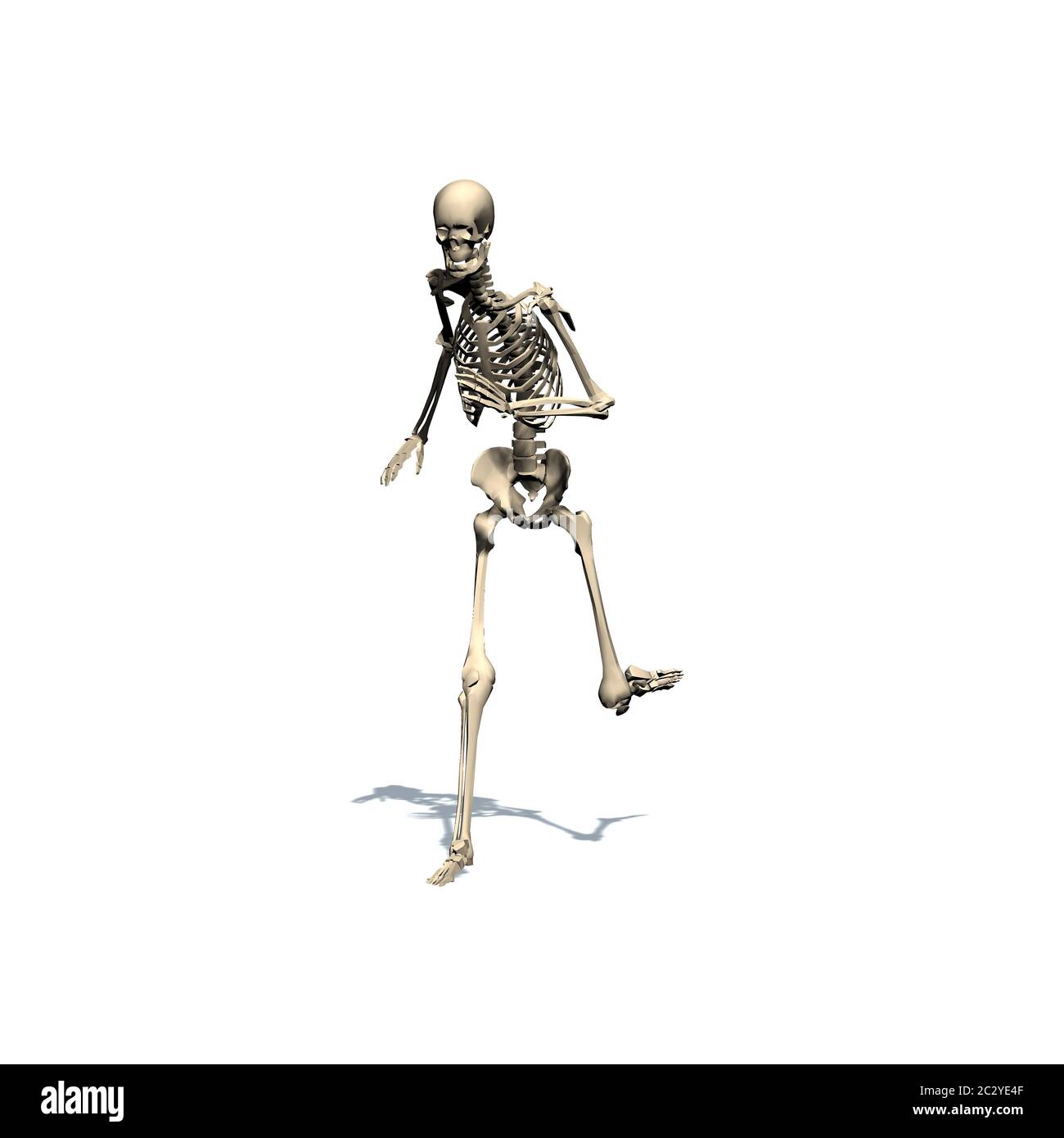 Running skeleton hi-res stock photography and images - Alamy