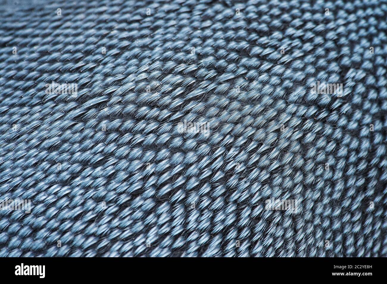 Textile, Patagonia, Chile, South America Stock Photo - Alamy