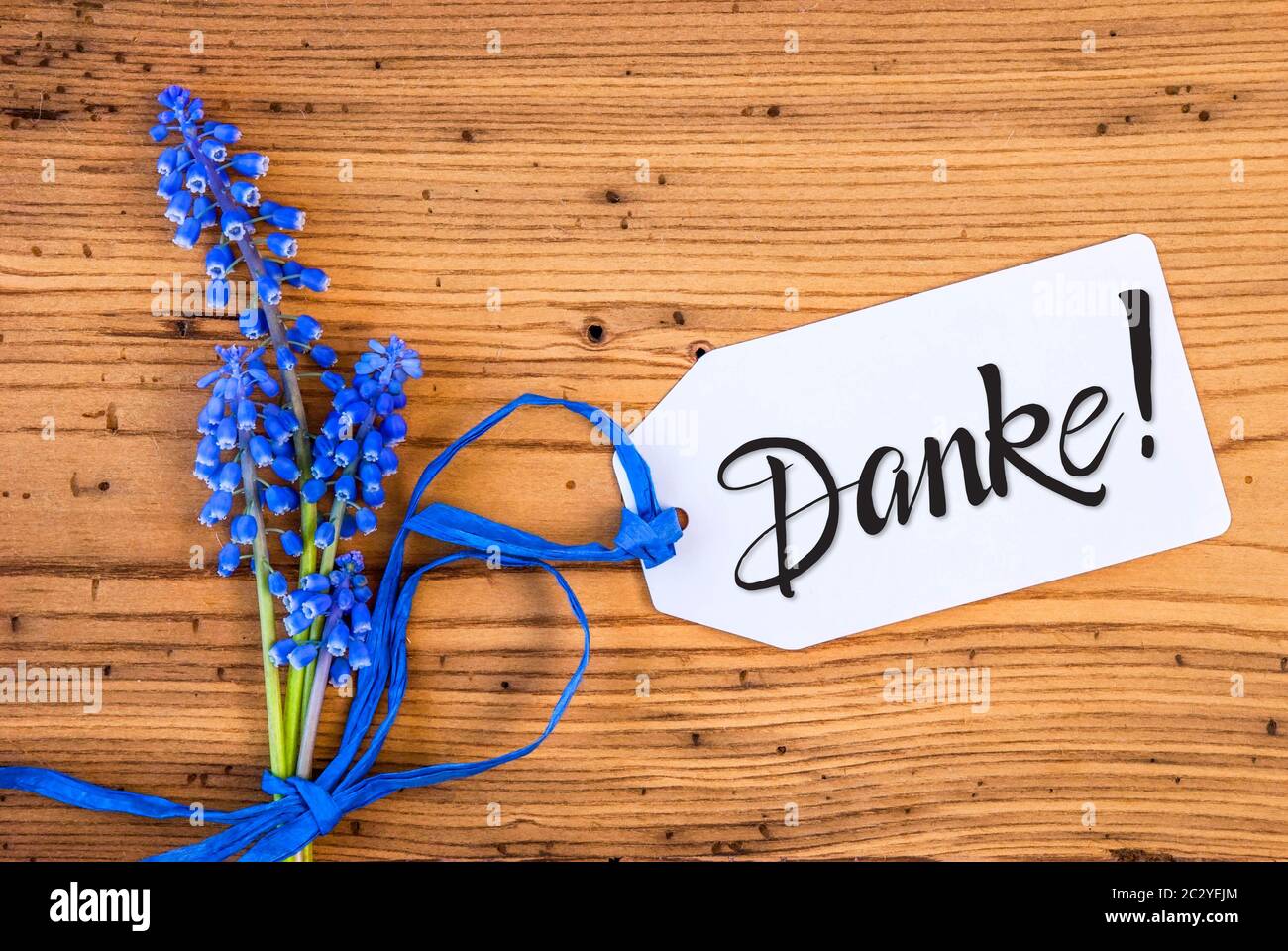 Label With German Calligraphy Danke Means Thank You. Blue Spring ...