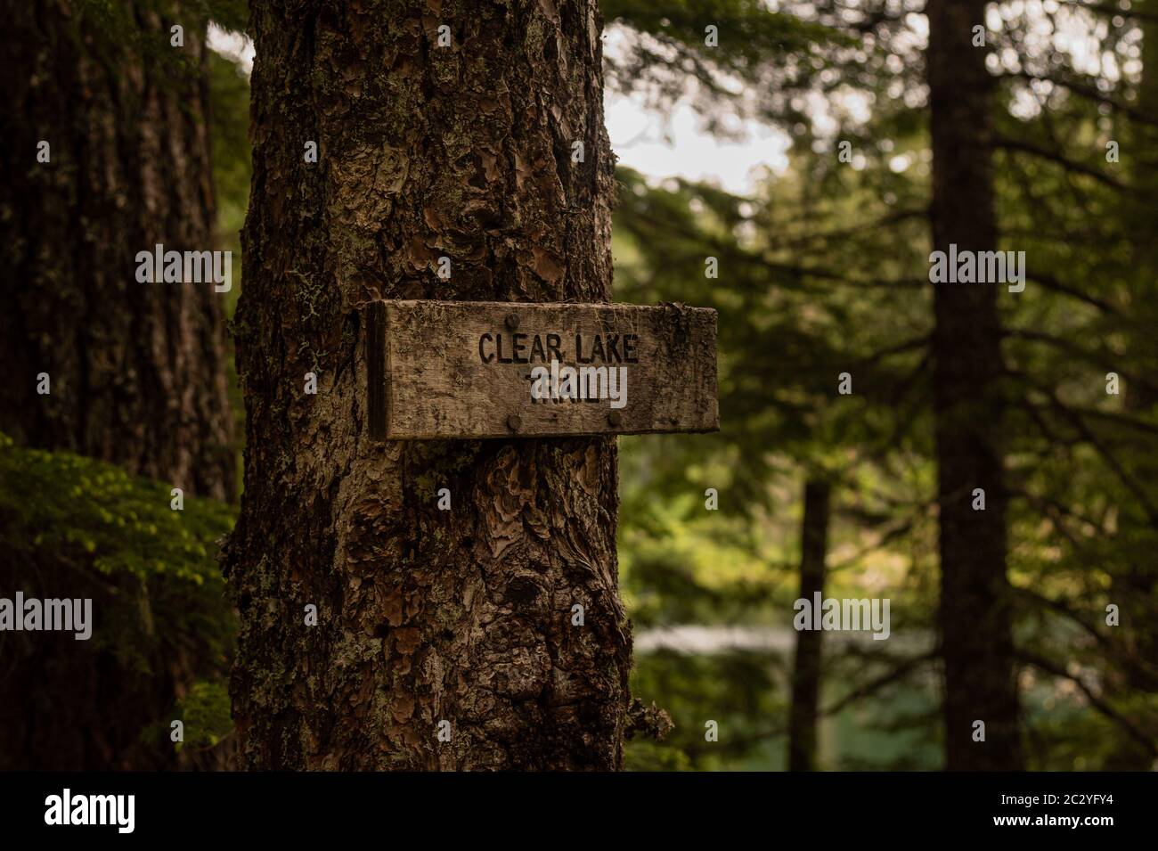 Clear trail hi-res stock photography and images - Alamy
