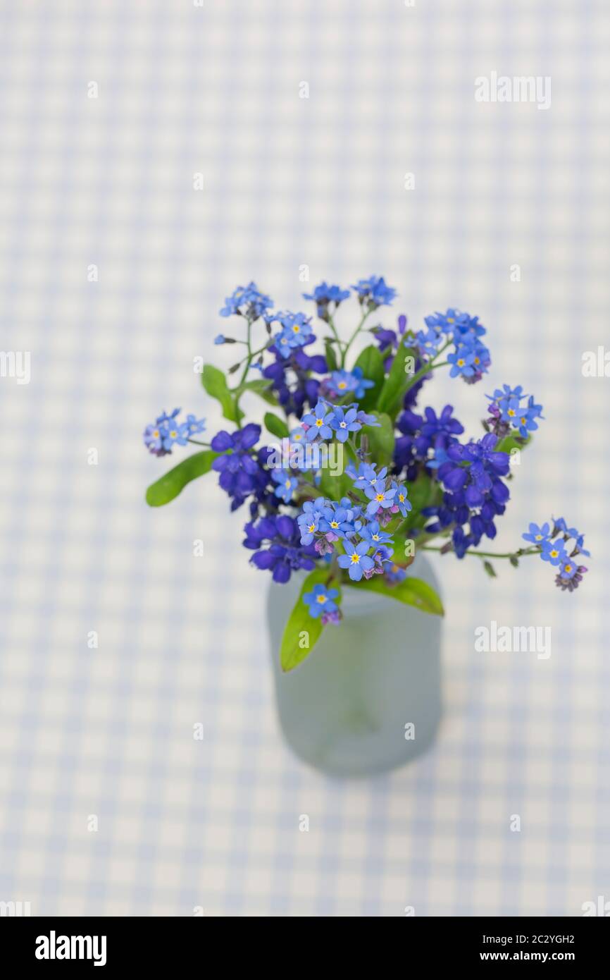 spring still life with little forget me not flowers in pastel blue ...