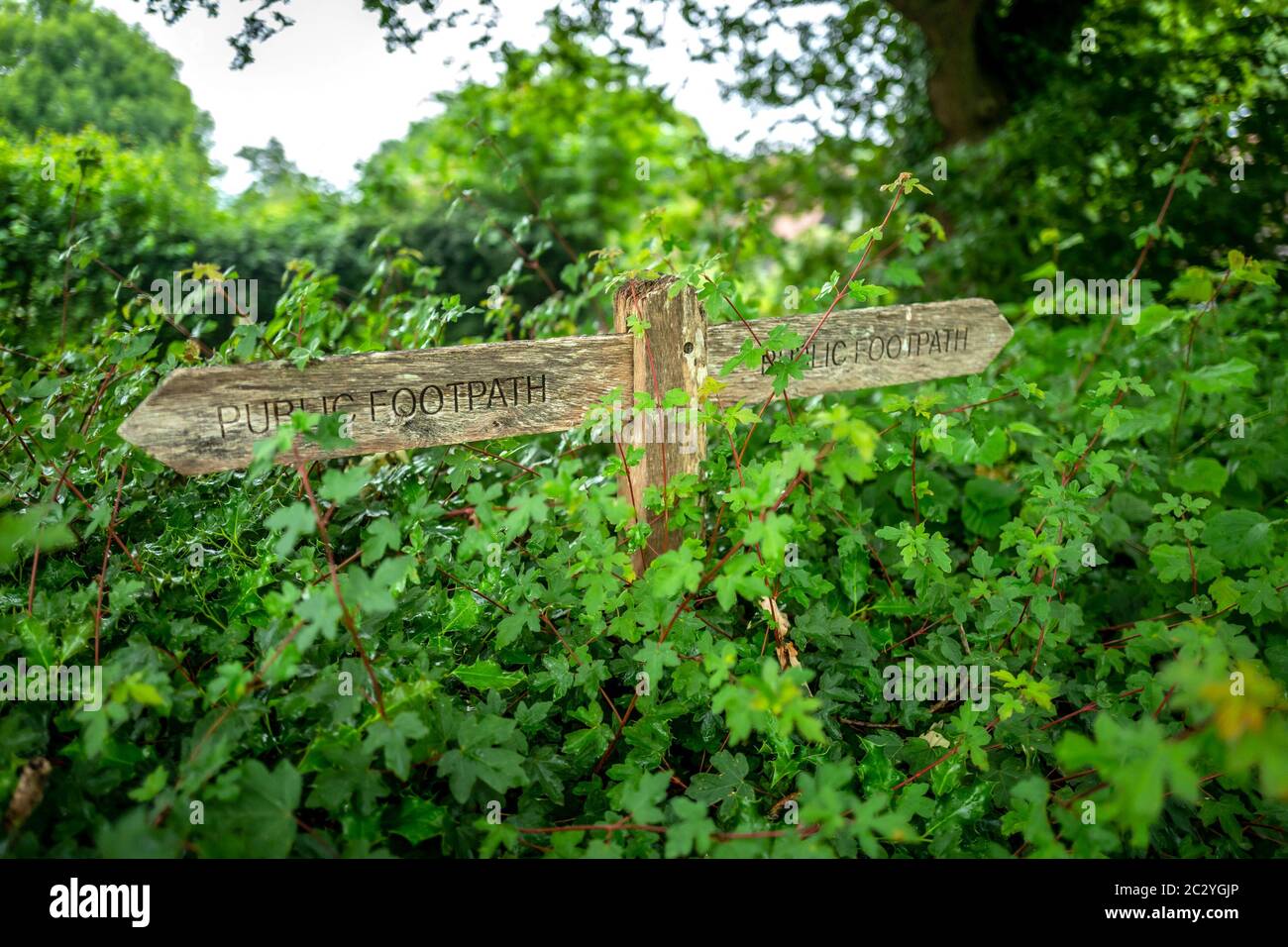 Cuckfield village hi-res stock photography and images - Alamy