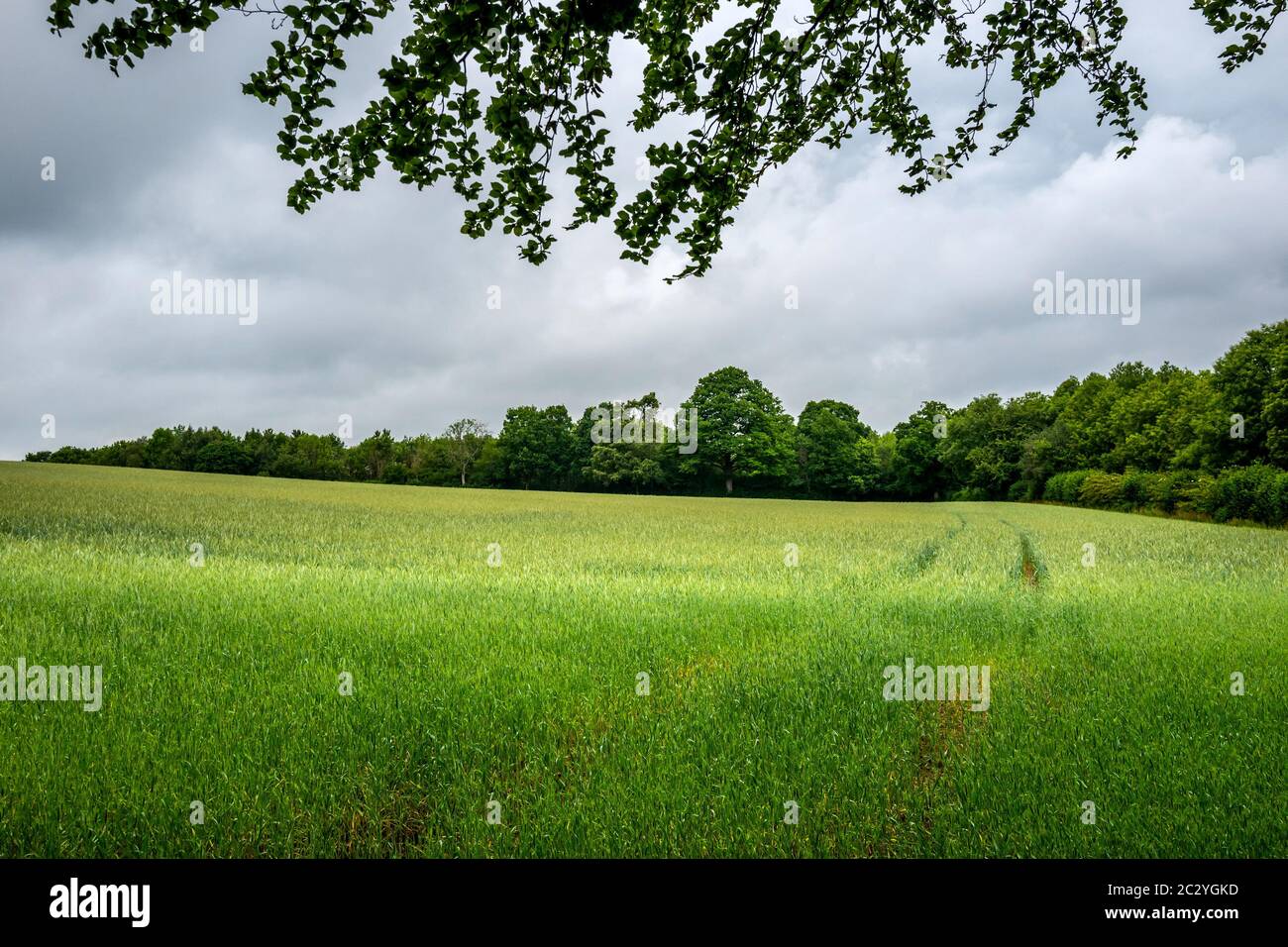 Cuckfield hi-res stock photography and images - Alamy