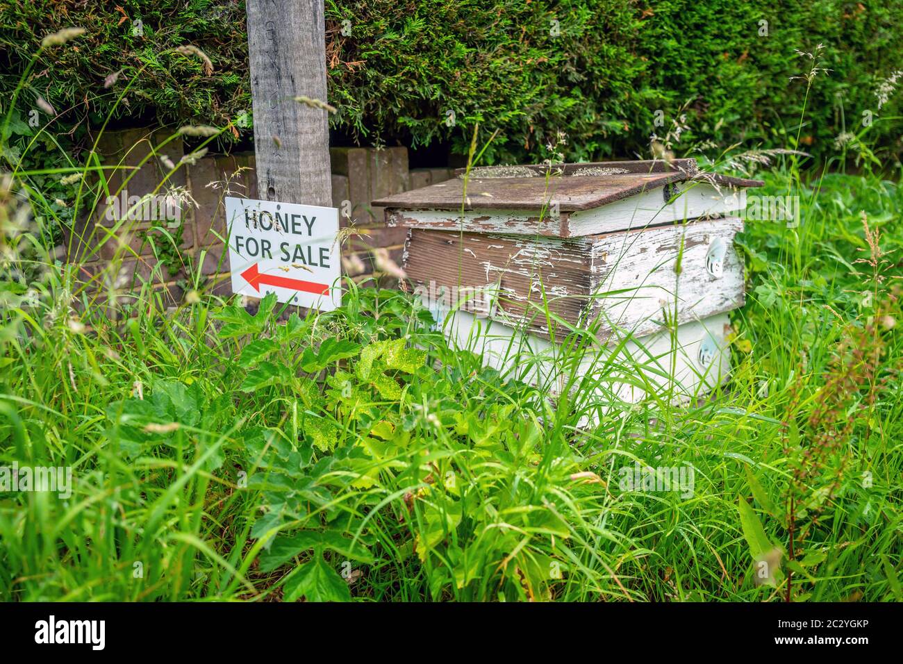 General view in the village of Cuckfield in Sussex Stock Photo - Alamy