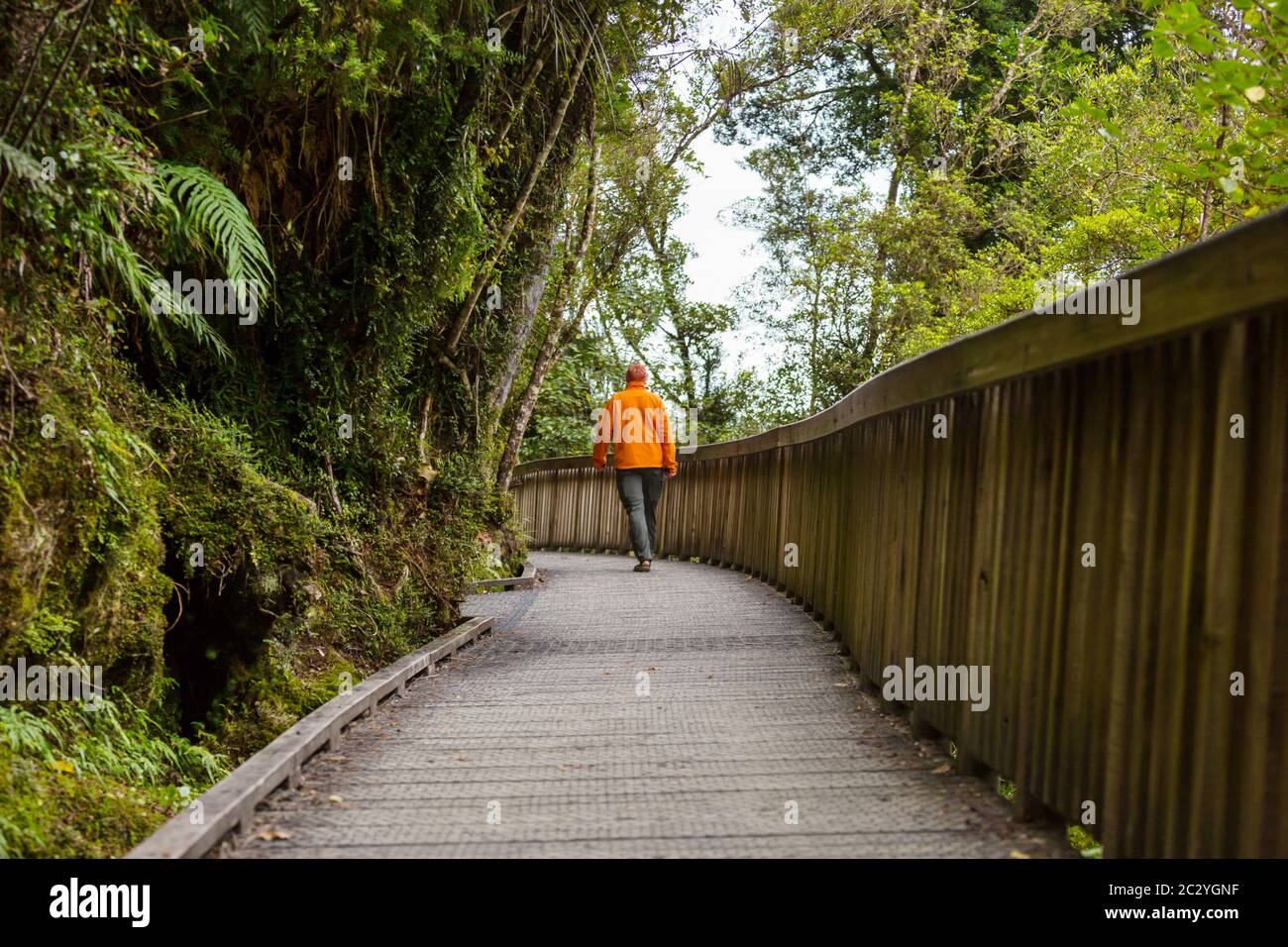Hiking and tramping in New Zealand. Travel and adventure concept Stock ...
