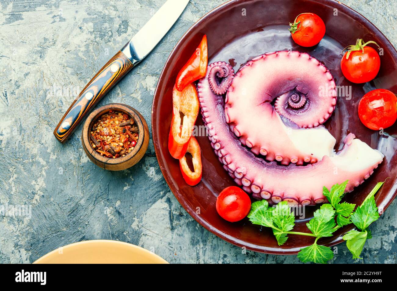 Fresh raw octopus and spice on plate.Uncooked octopus tentacles on gray ...