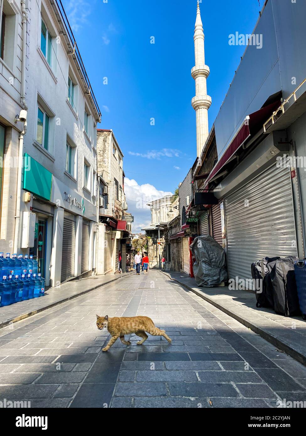 Istanbul cat hi-res stock photography and images - Alamy
