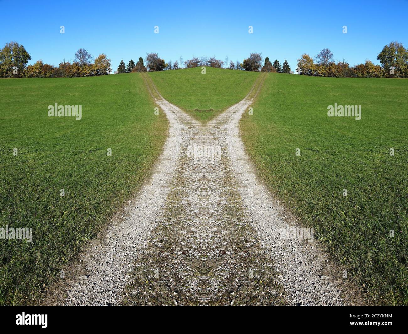 A divided path. Which way should you go Stock Photo - Alamy