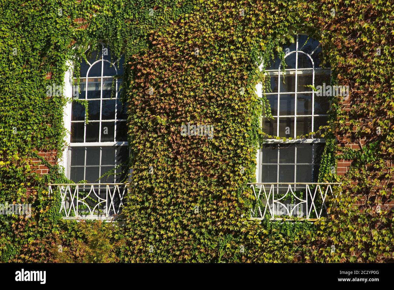 Millyard hi-res stock photography and images - Alamy