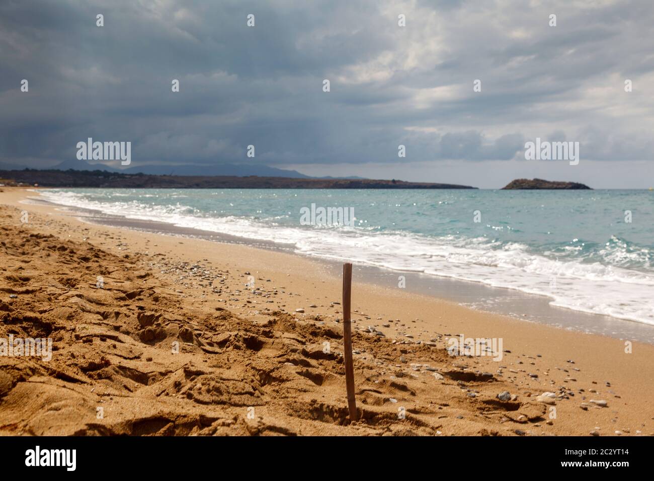 Tomprouk hi-res stock photography and images - Alamy