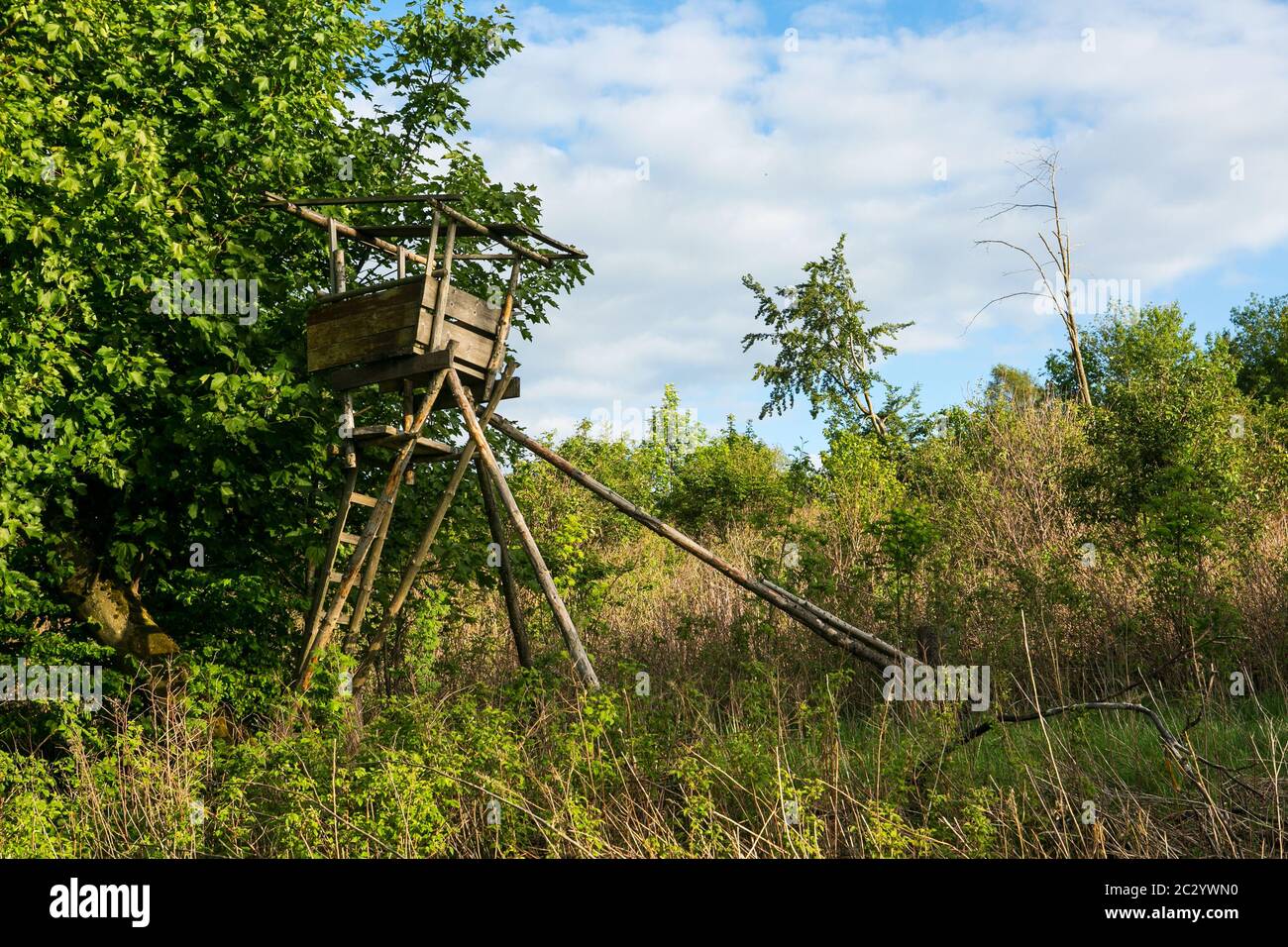 wooden hunter’s seat outdoors next tor trees Stock Photo - Alamy