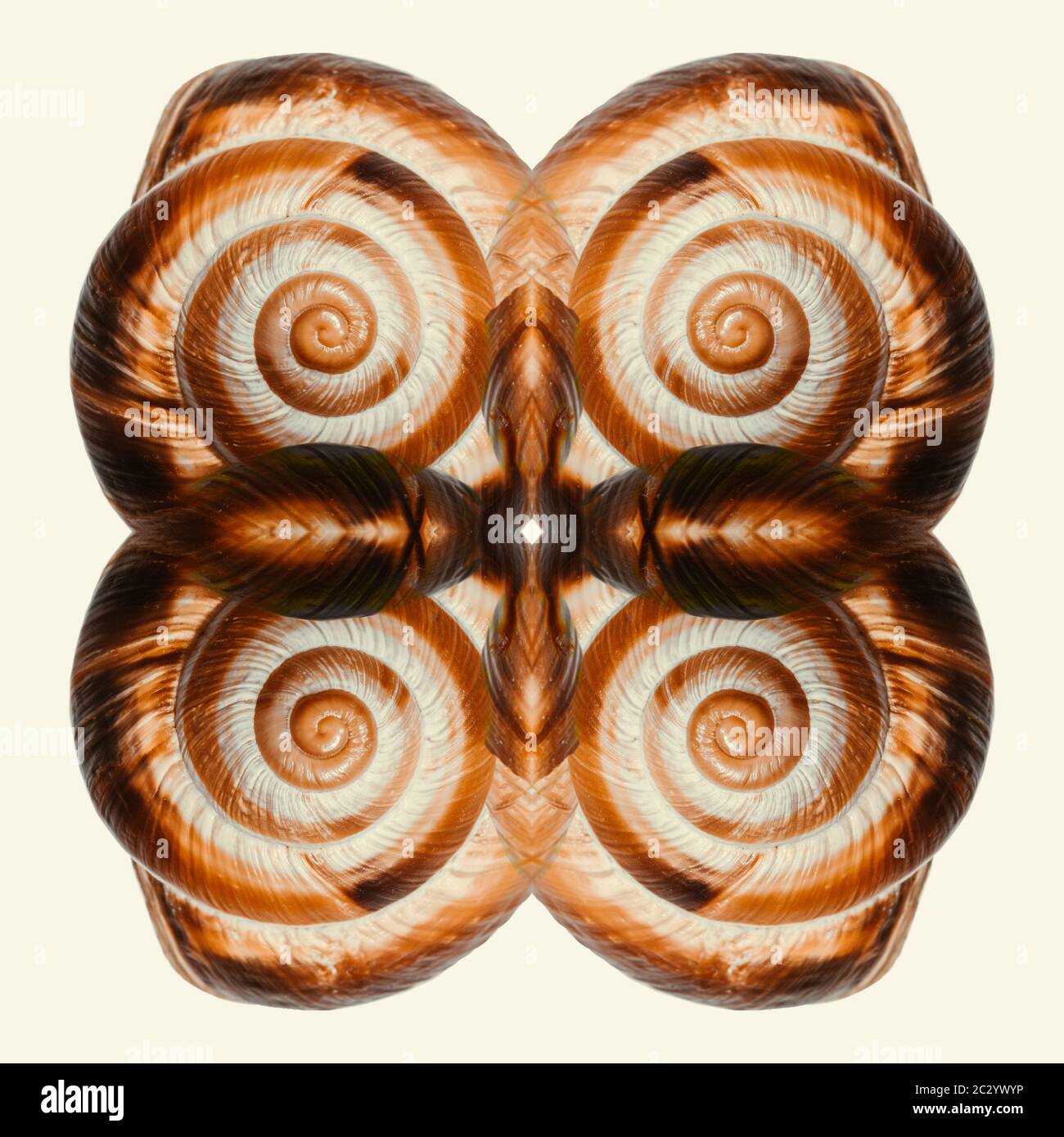 Abstract surreal snail shell pattern in beige color. Geometric shell ...