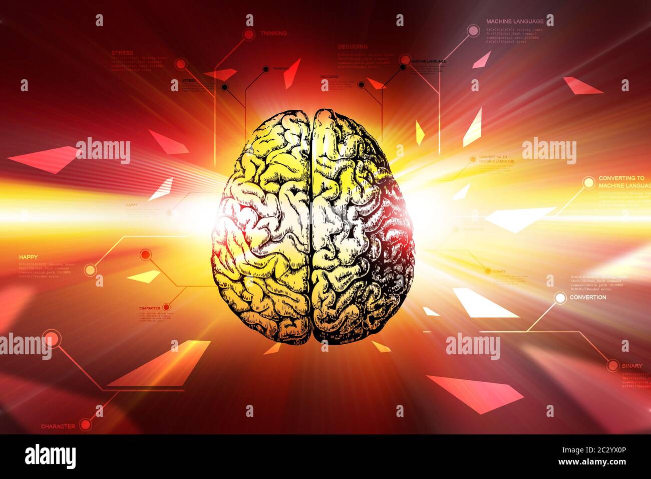 Digital brain in color background Stock Photo - Alamy