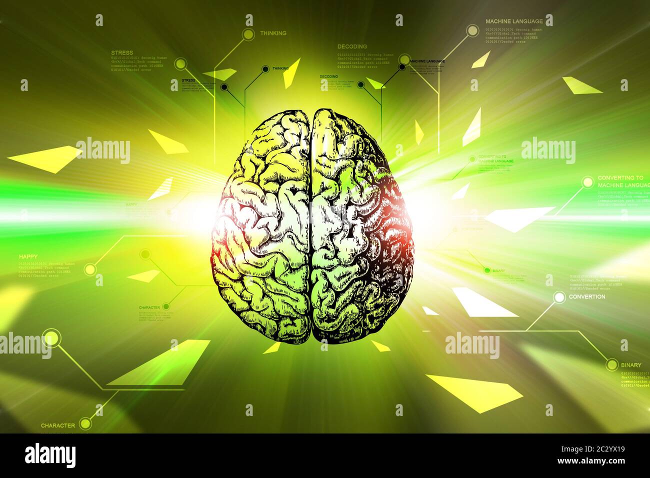 Digital brain in color background Stock Photo - Alamy