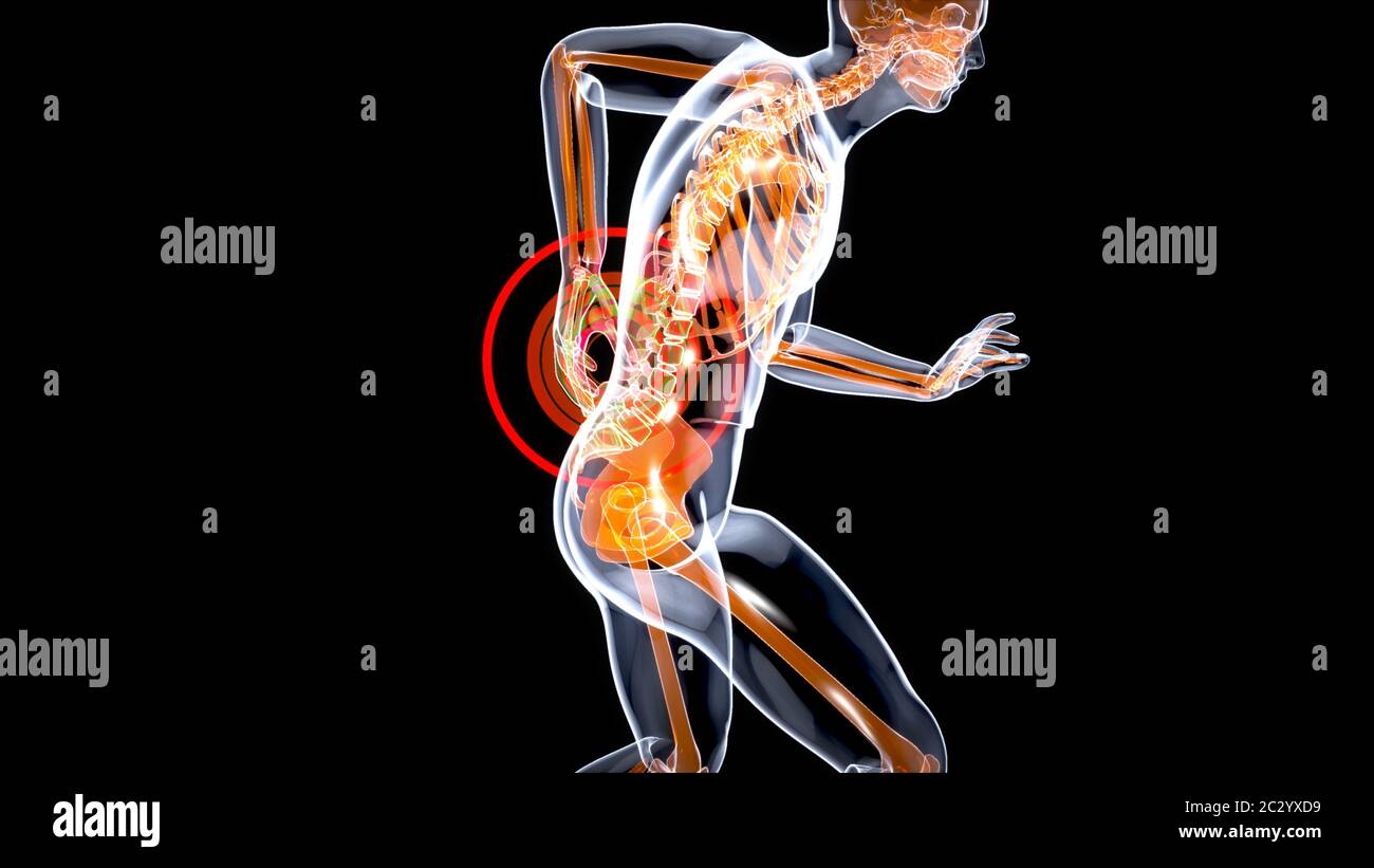 Man suffering from severe back pain Stock Photo - Alamy