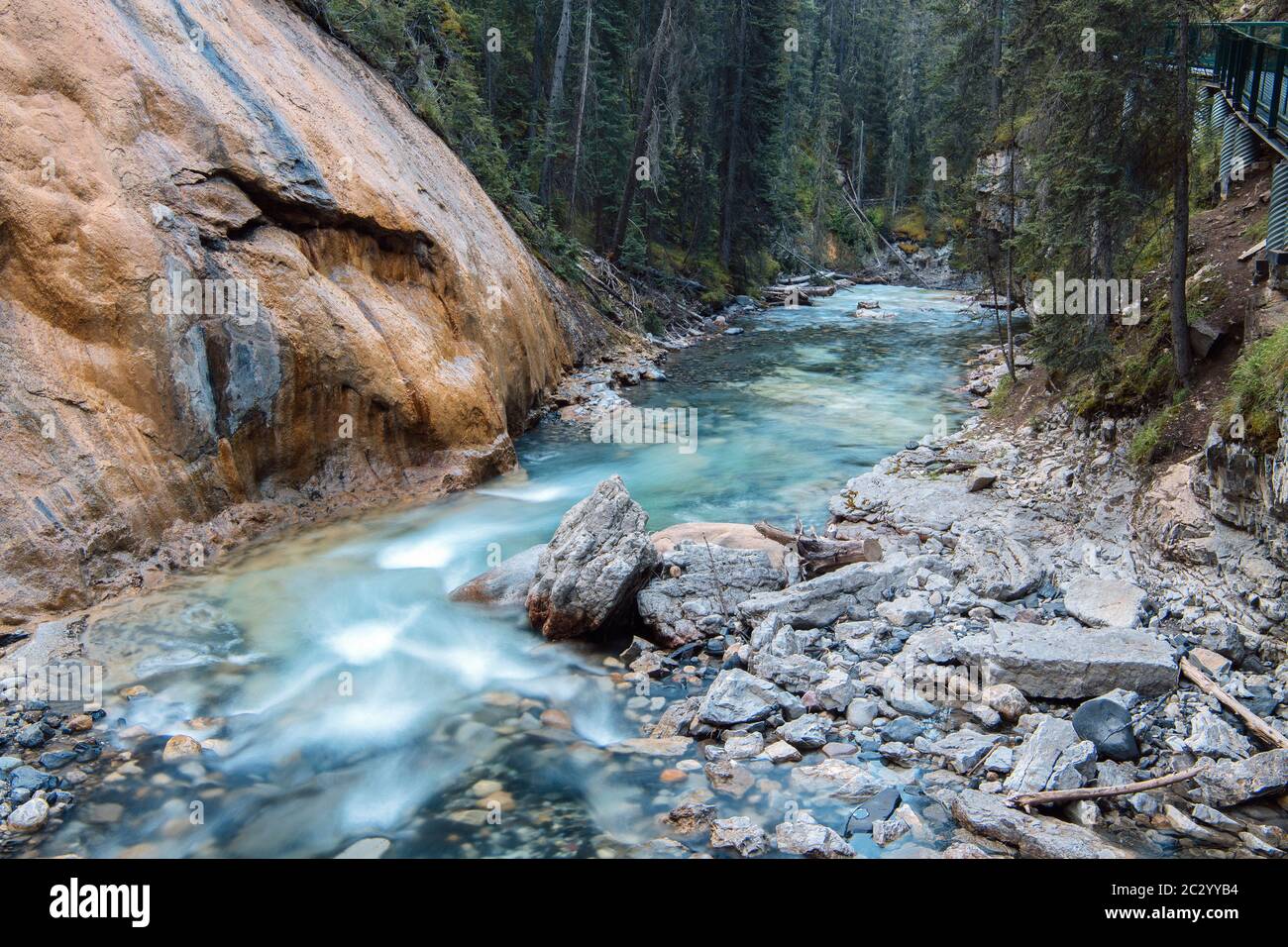 Rocky forest scene hi-res stock photography and images - Alamy