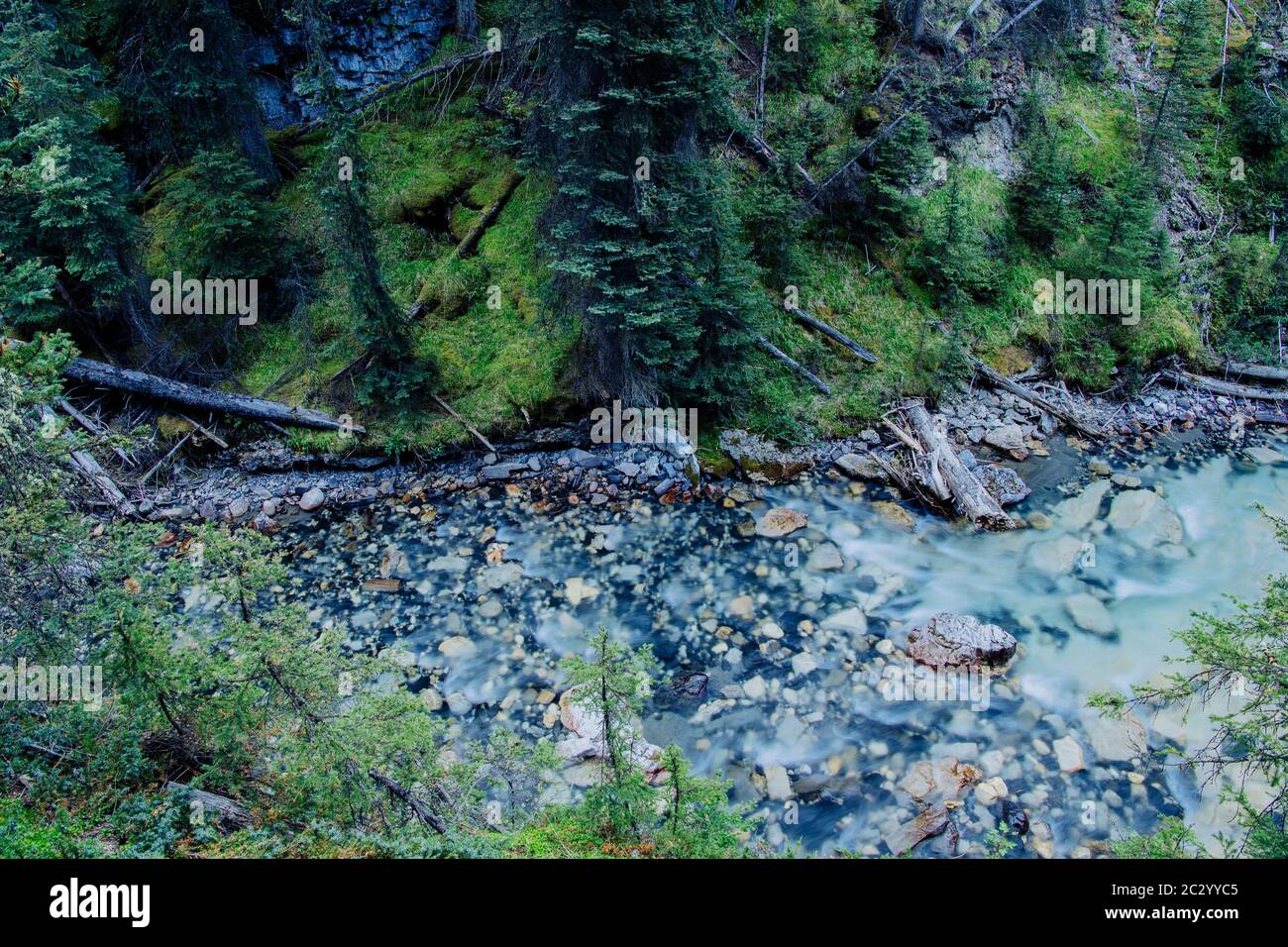 Landscape with view of stream in forest, Banff National Park, Rocky ...