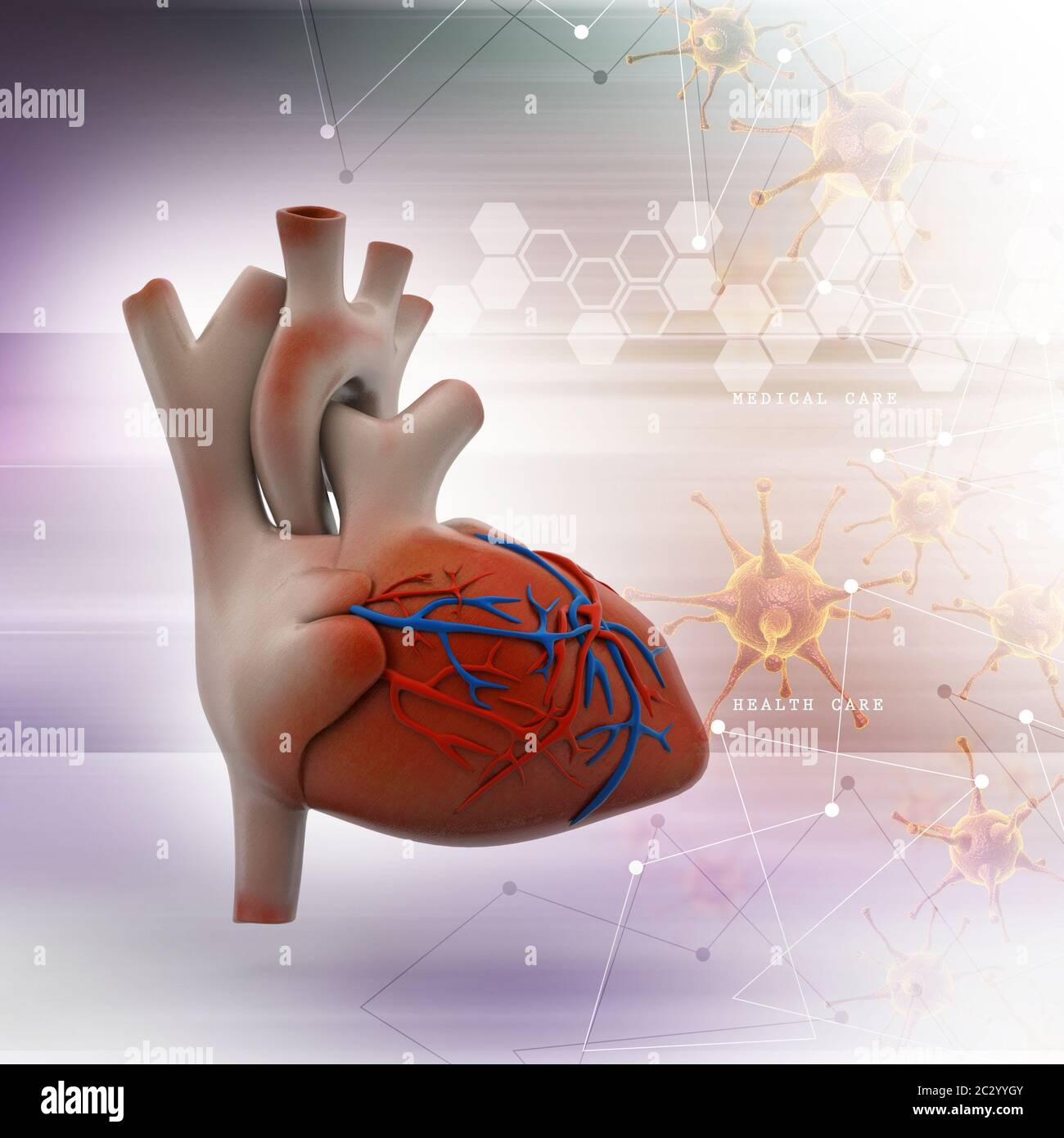 Human heart with platelets in color background Stock Photo - Alamy
