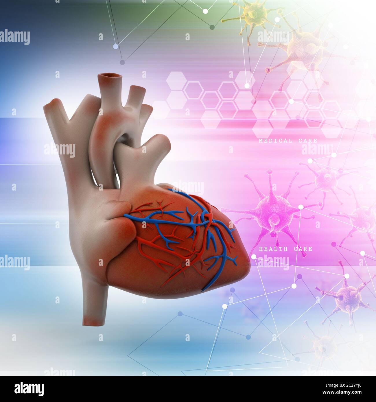 Human heart with platelets in color background Stock Photo - Alamy