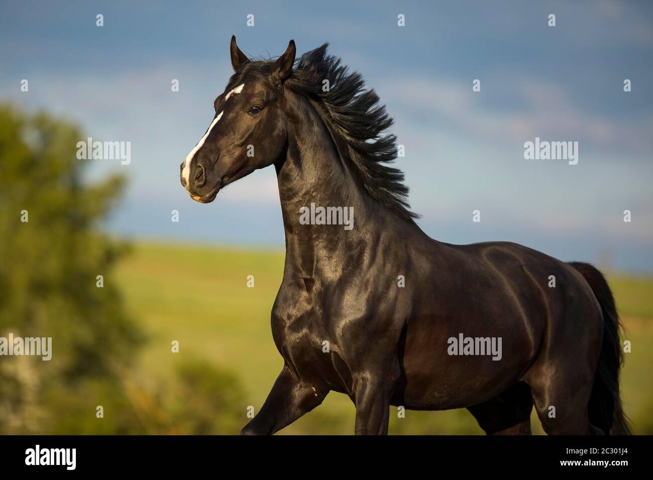 Black black hi-res stock photography and images - Alamy