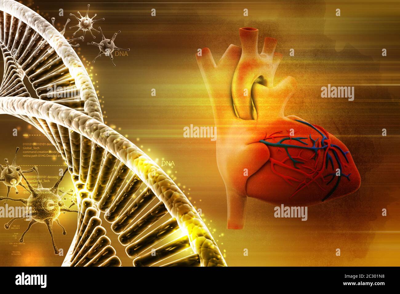 Human heart and dna Stock Photo - Alamy