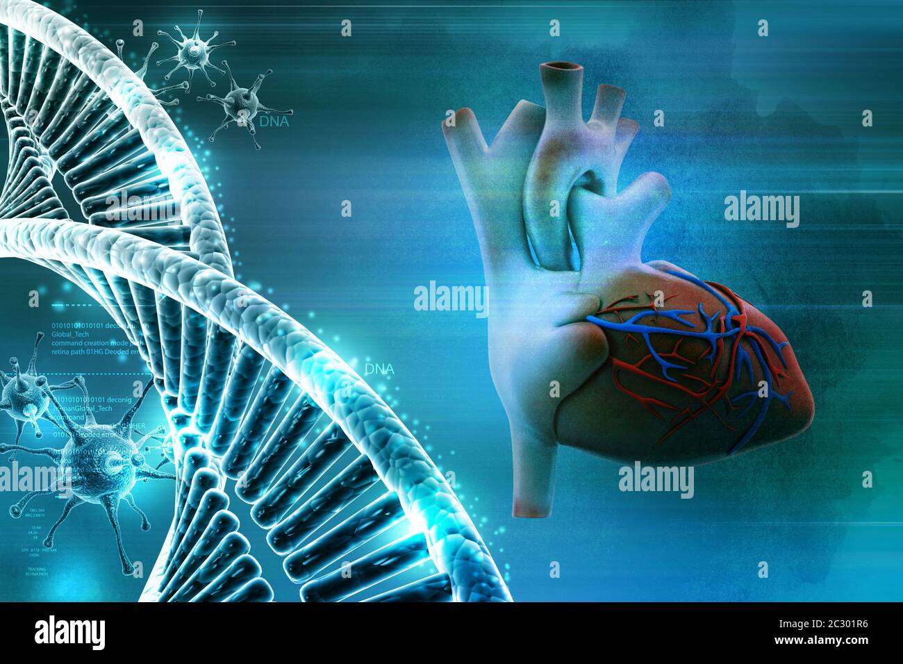 Human heart and dna Stock Photo - Alamy