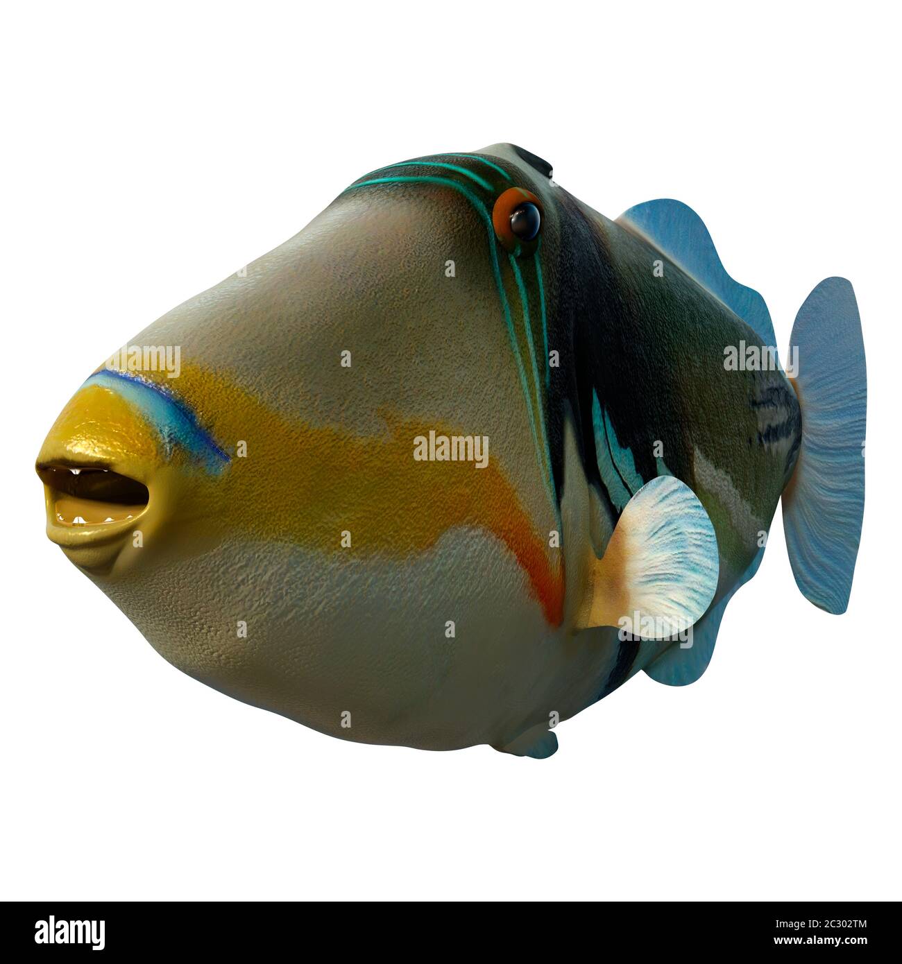 3D rendering of a Picasso triggerfish or lagoon triggerfish or ...