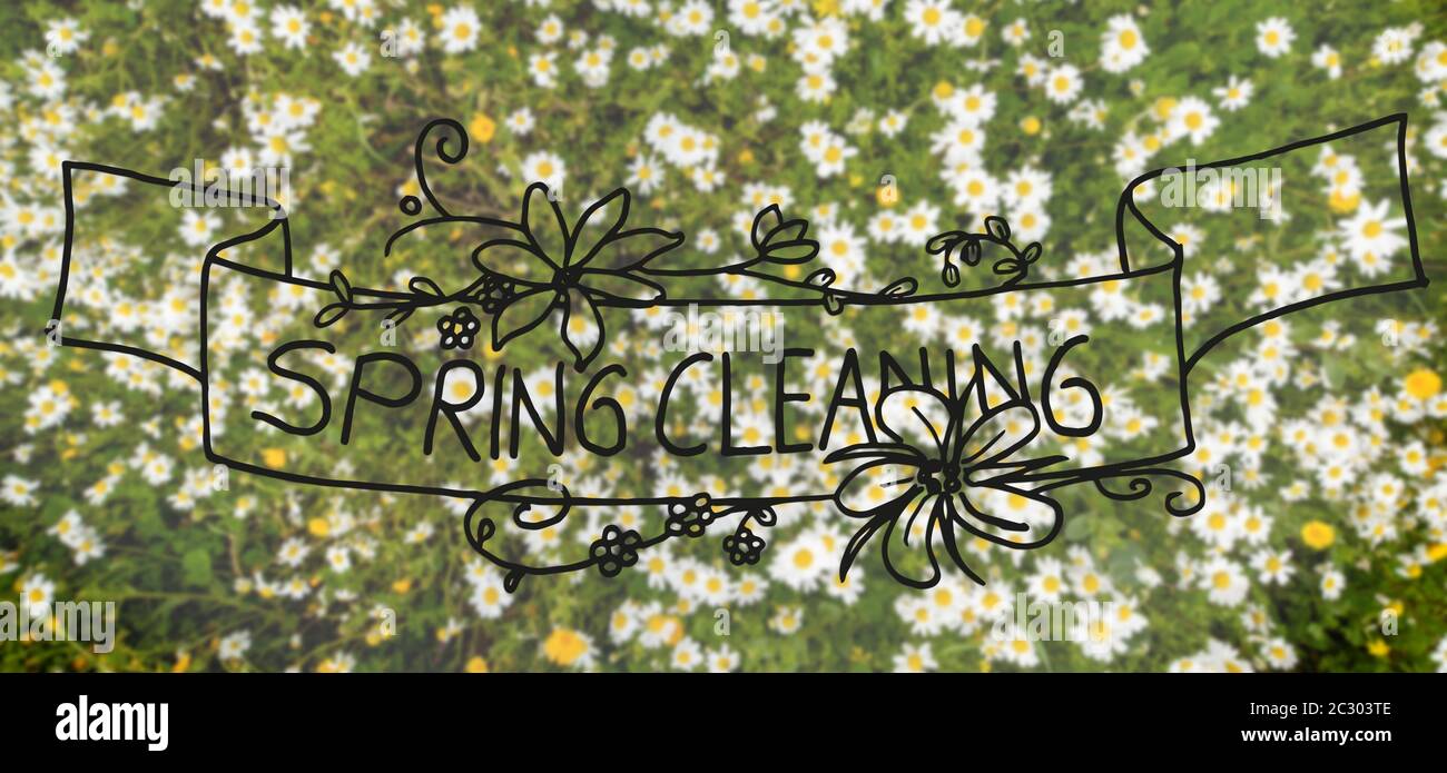 English Calligraphy And Illustration Spring Cleaning. Top View Of Daisy ...