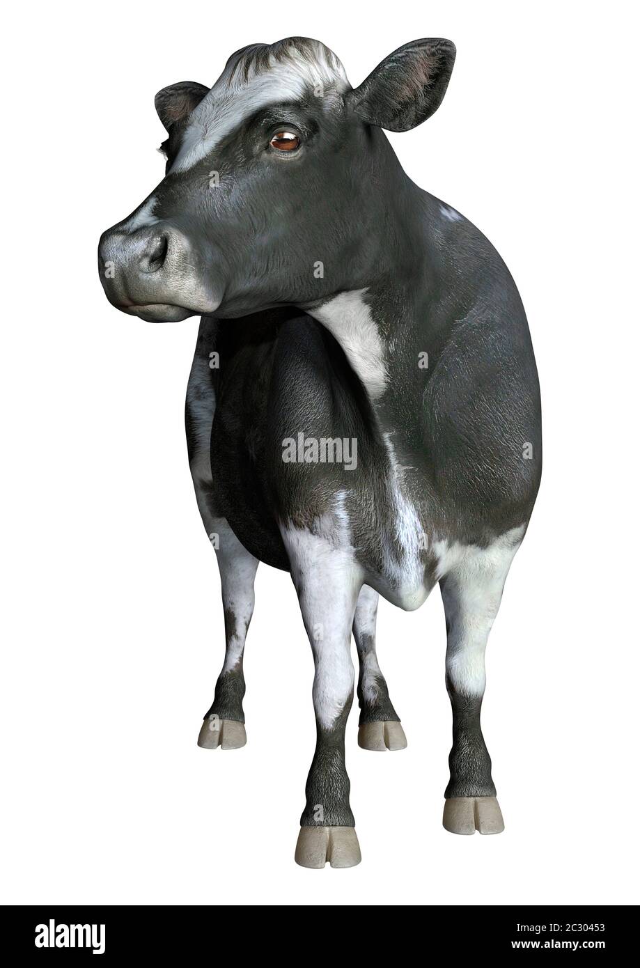 3D rendering of a cow isolated on white background Stock Photo - Alamy