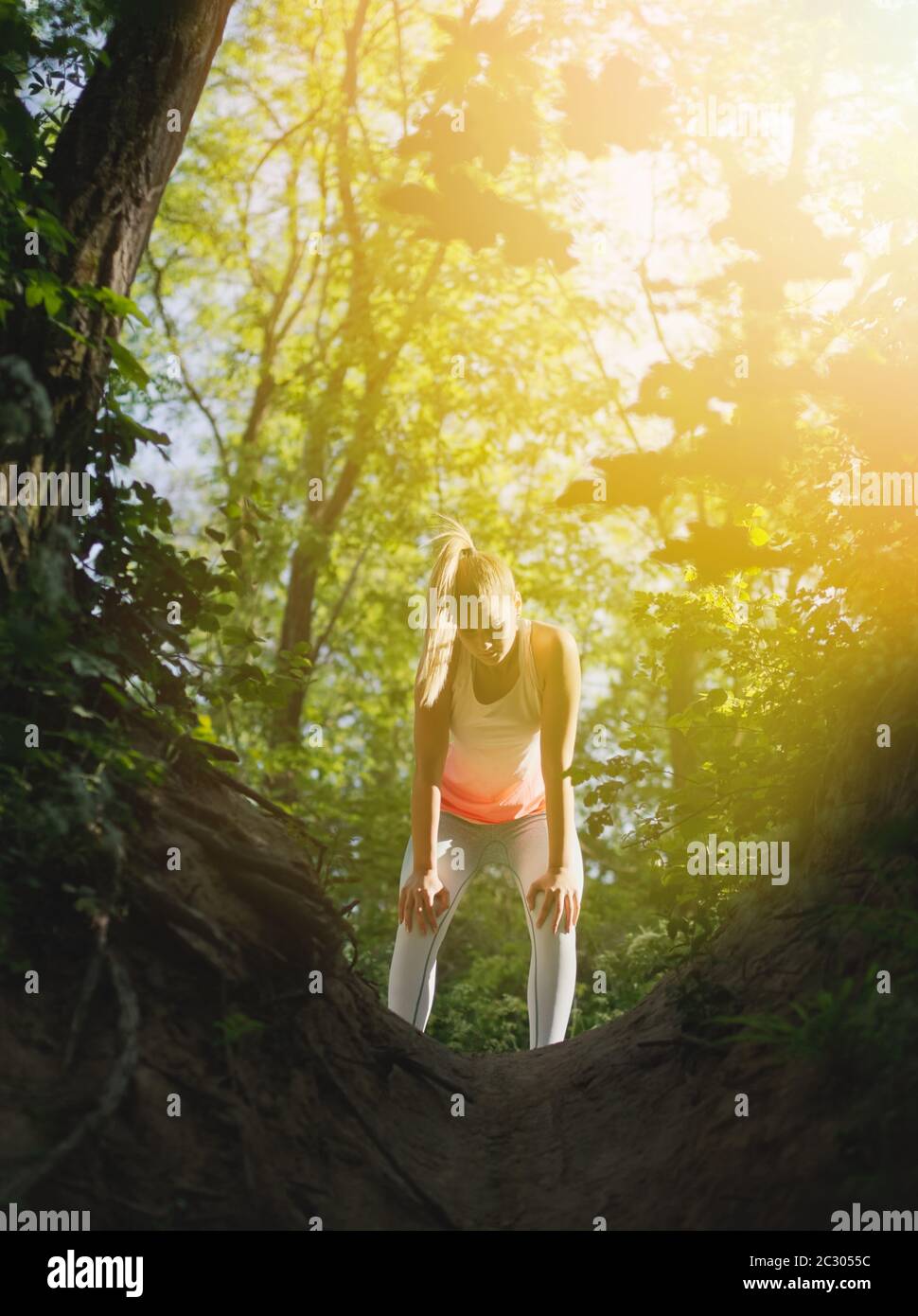 Exercise forest light hi-res stock photography and images - Alamy
