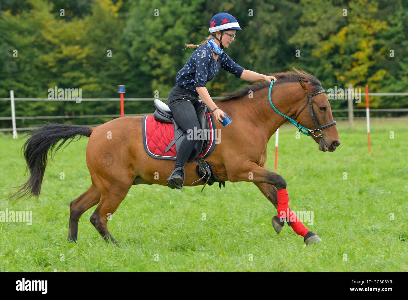 Mounted games hi-res stock photography and images - Alamy