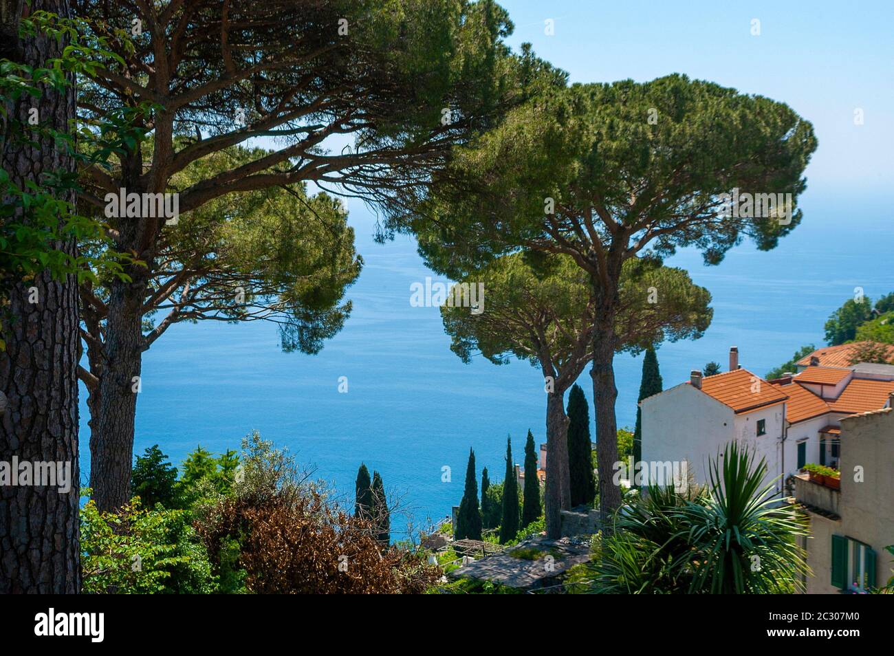 Gardens of the Villa Rufolo with their famous umbrella pine trees ...