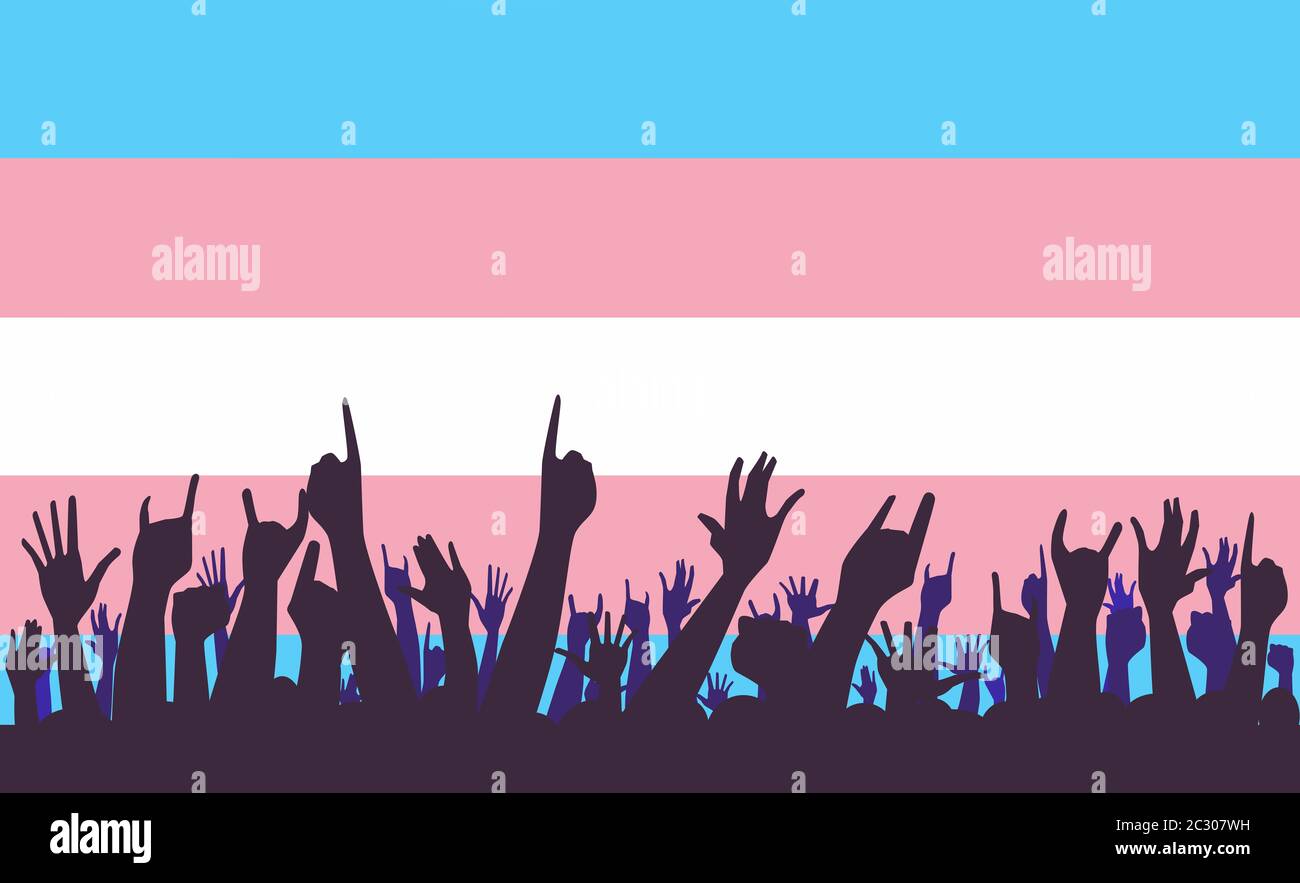 The transgender pride flag in pastel blue pink and white as a ...