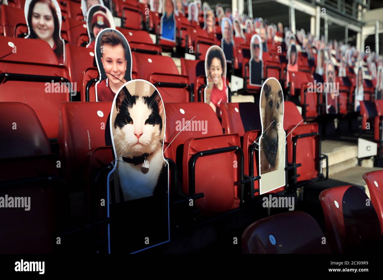 Cardboard cutout pictures northampton town fans hi-res stock ...