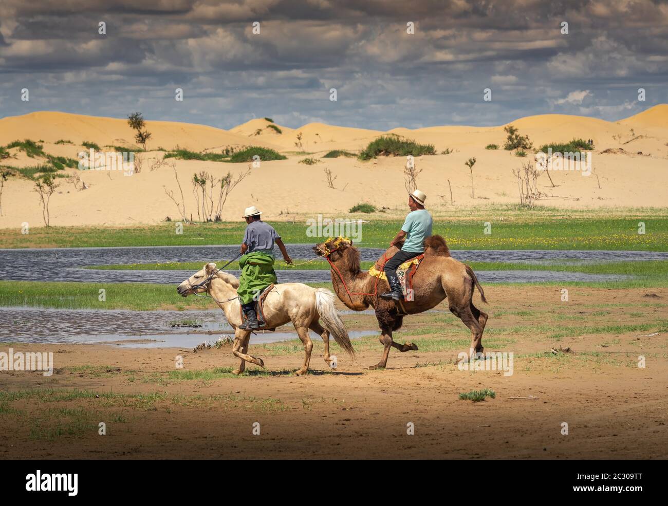 A horse rider pulling a camel rider, back is the sand dunes, Bulgan ...