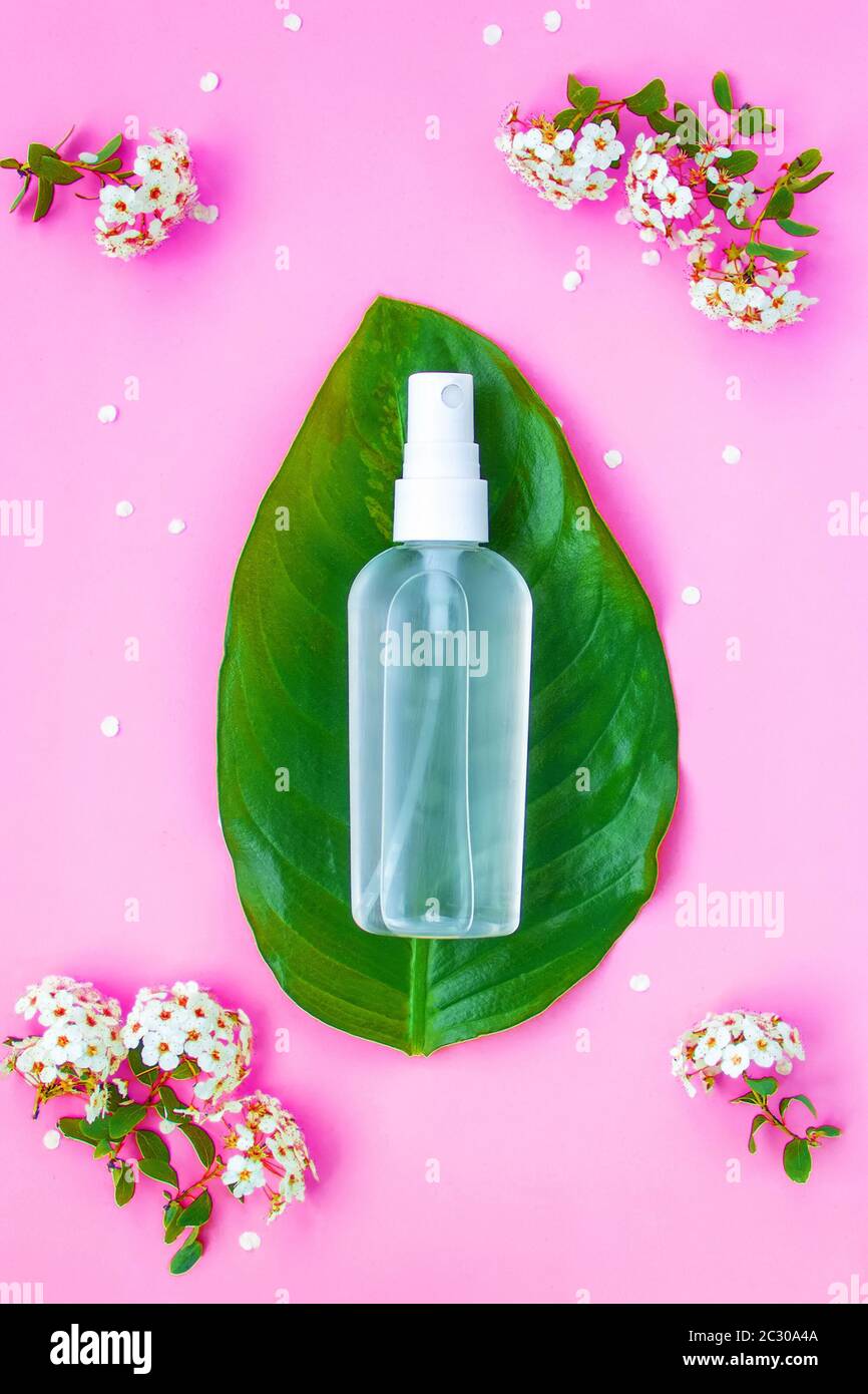 Hand sanitizer on the oval leaf on the frame of spirea flowers. Pink ...