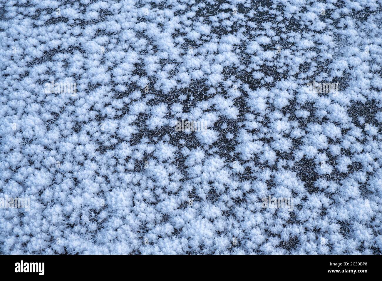 Snow texture. Natural winter background Stock Photo - Alamy