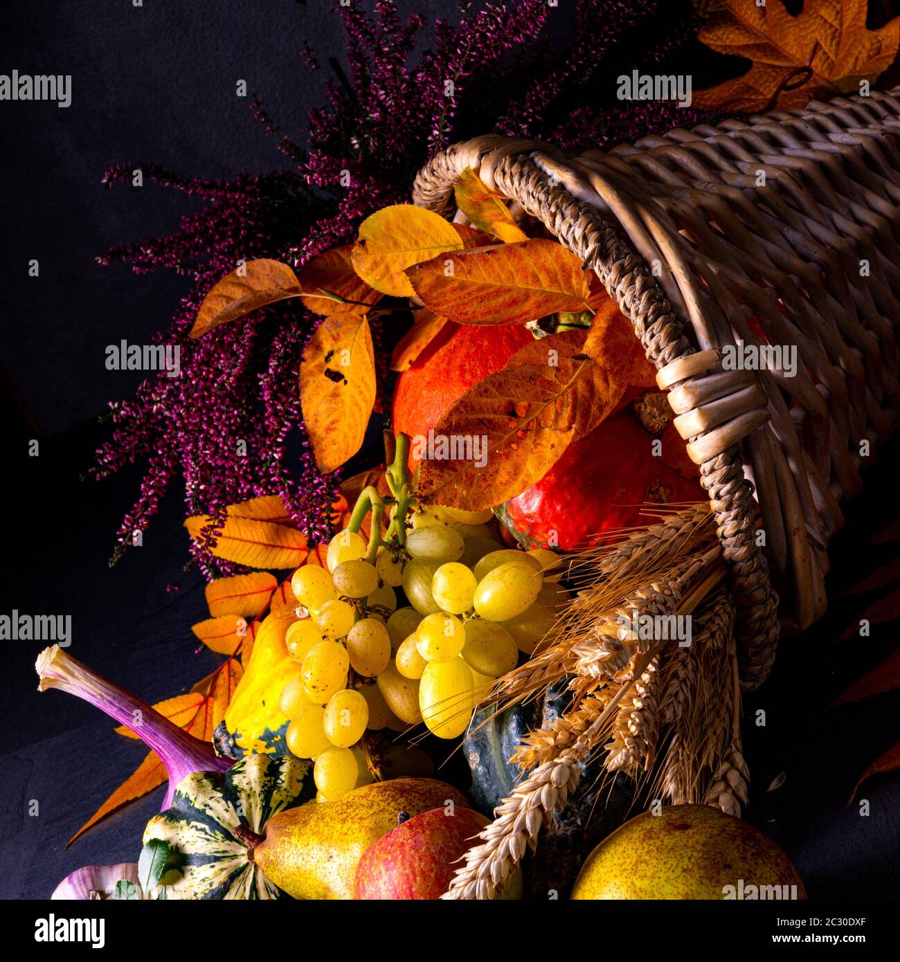 The beautiful and autumnal cornucopia Stock Photo - Alamy